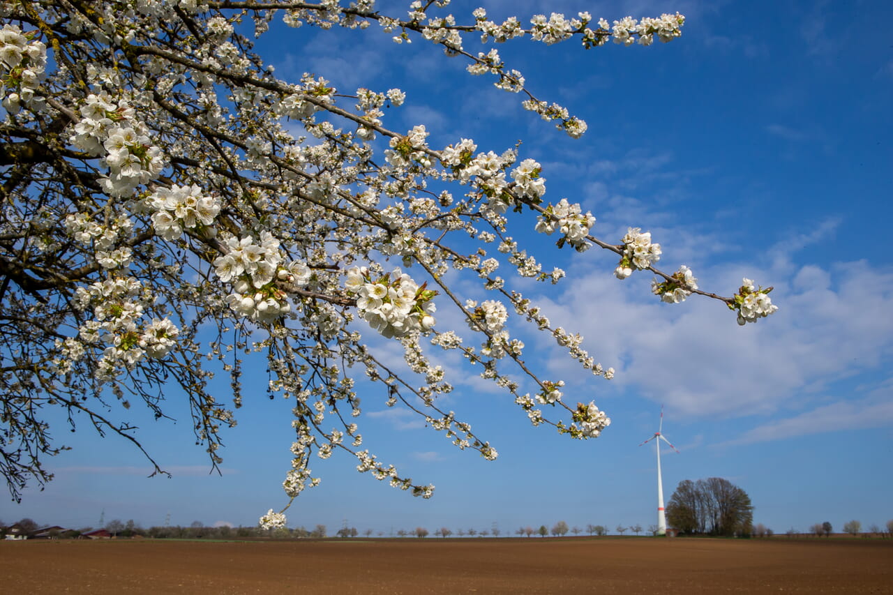 Ingersheim - Startseite